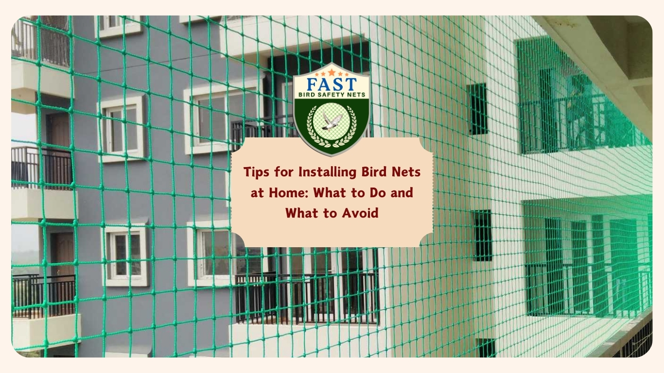 Avoid These Common Mistakes When Installing Bird Nets at Home