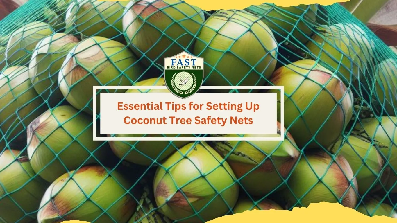 Essential Tips for Setting Up Coconut Tree Safety Net - Fast Safety ...