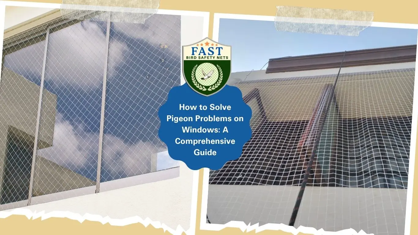 How to Solve Pigeon Problems on Windows: A Comprehensive Guide - Fast ...