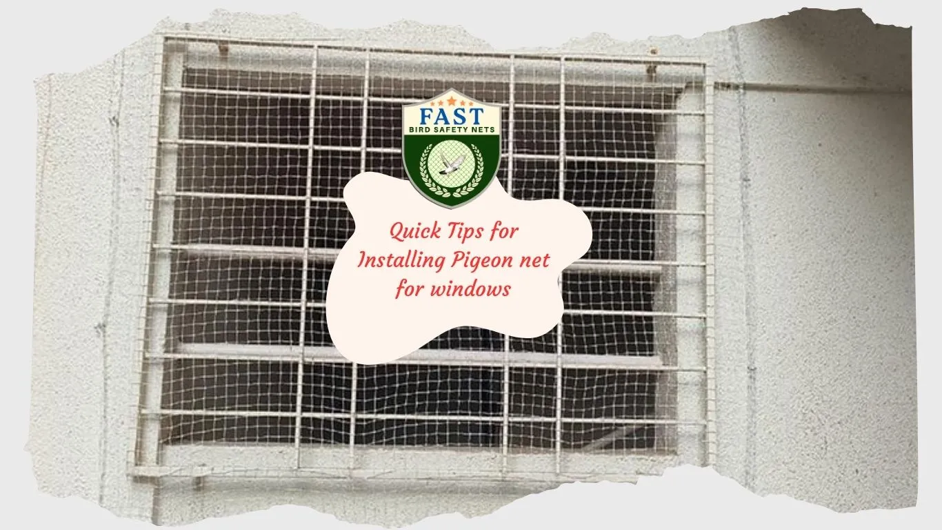 Quick Tips for Installing Pigeon nets for windows - Fast Safety Nets ...