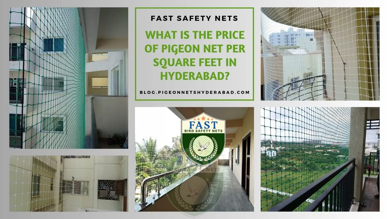 What is the price of pigeon net per square feet in Hyderabad? - Fast ...