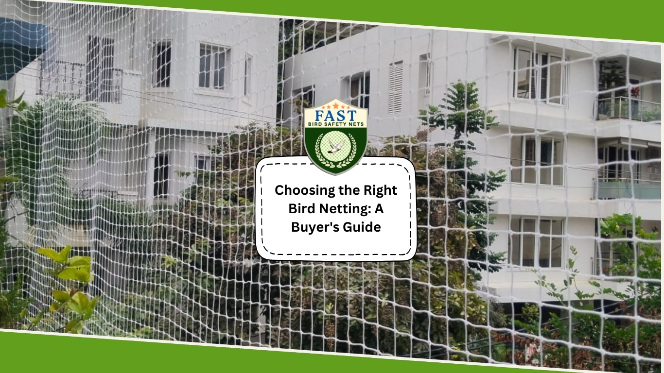 Choosing the Right Bird Netting: A Buyer's Guide - Fast Safety Nets ...