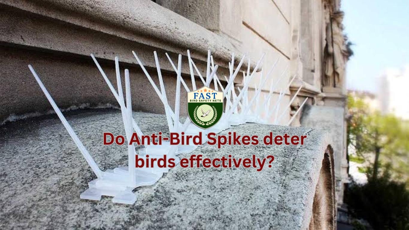 Do Anti Bird Spikes deter birds effectively? - Fast Safety Nets ...