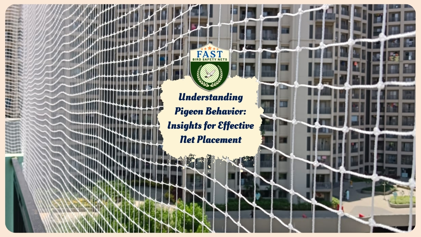 Understanding Pigeon Behaviour and an Effective Net Placement