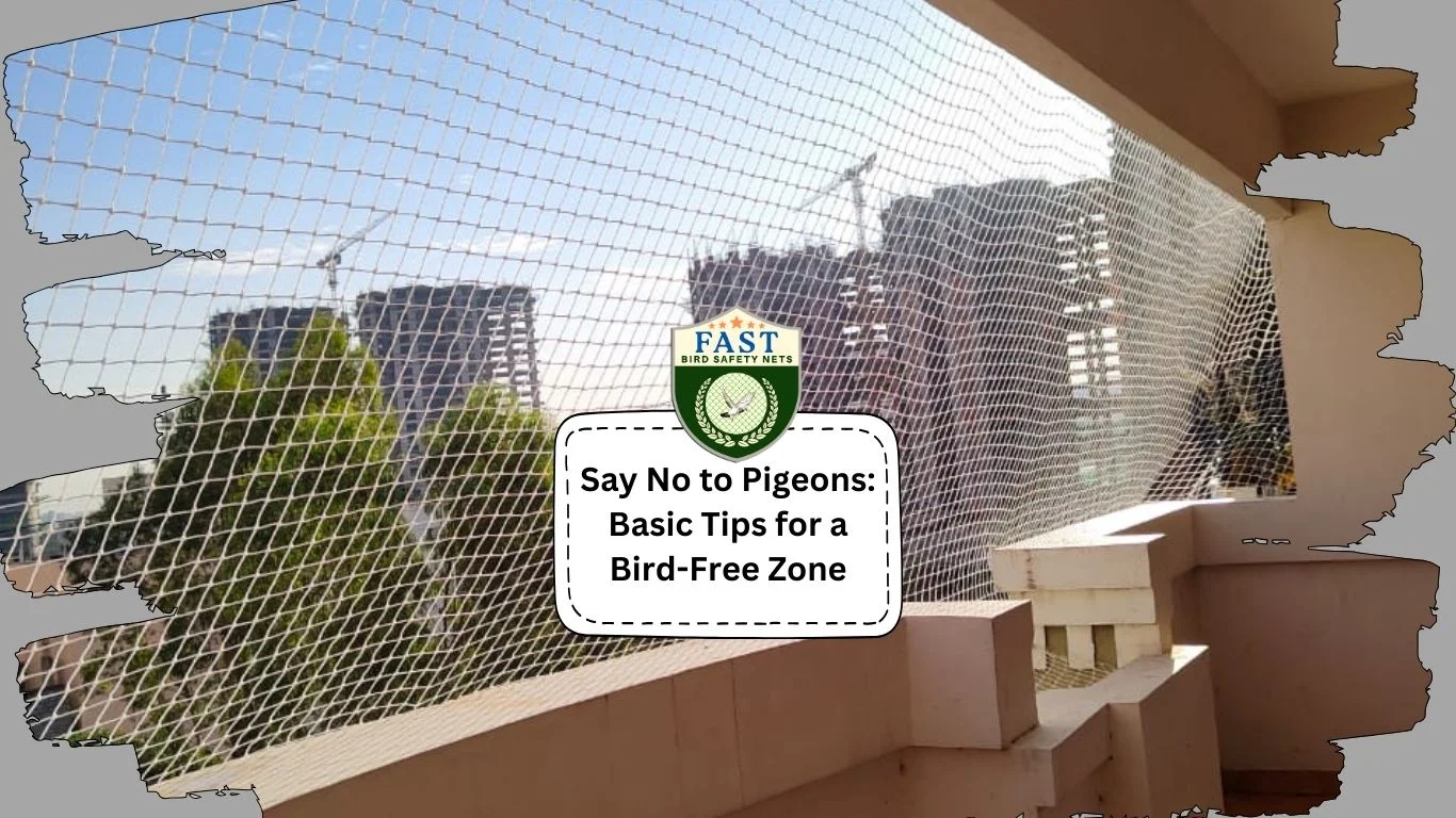 Say No to Pigeons: Basic Tips for a Bird-Free Zone - Fast Safety Nets ...