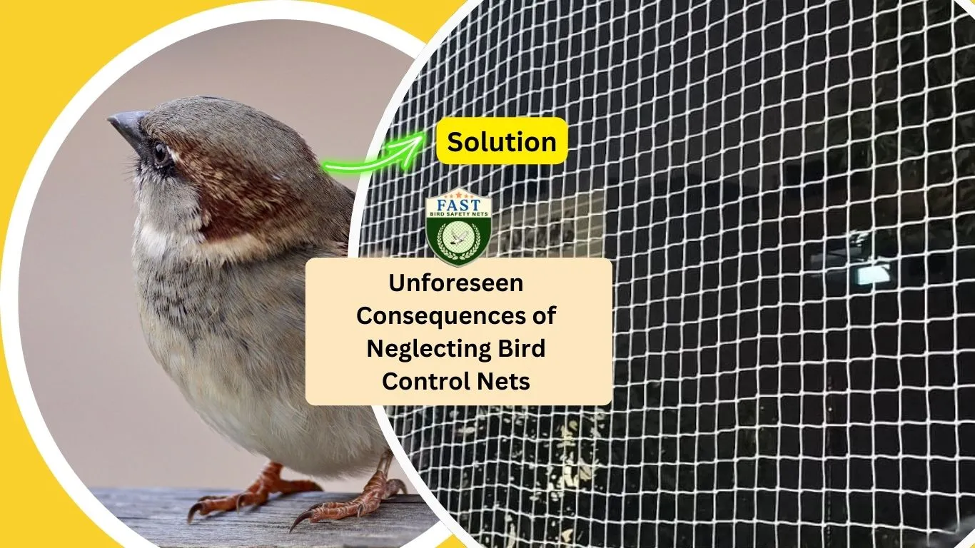 Unforeseen Consequences of Neglecting Bird Control Nets - Fast Safety ...