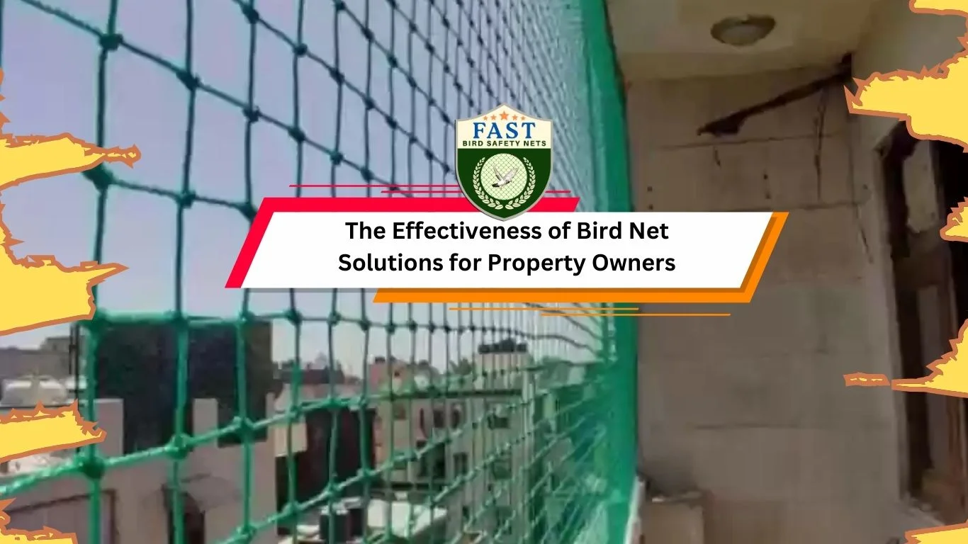 The Effectiveness of Bird Net Solutions for Property Owners - Fast ...