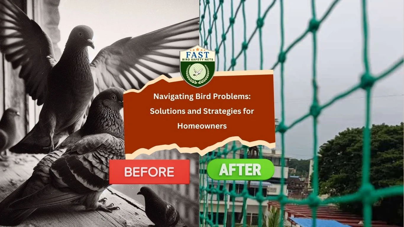 Solving Bird Problems: Strategies for Homeowners - Fast Safety Nets ...