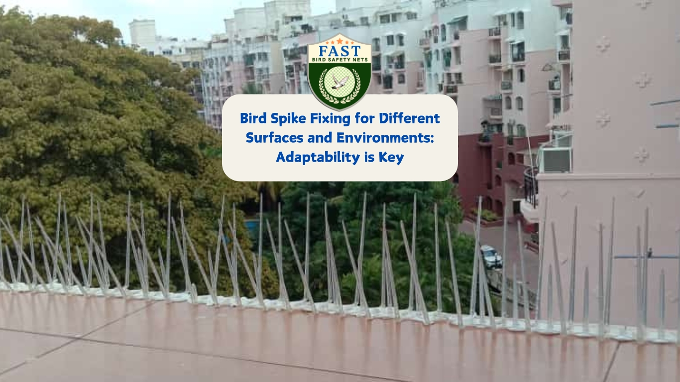 Bird Spike Fixing for Different Surfaces and Environments