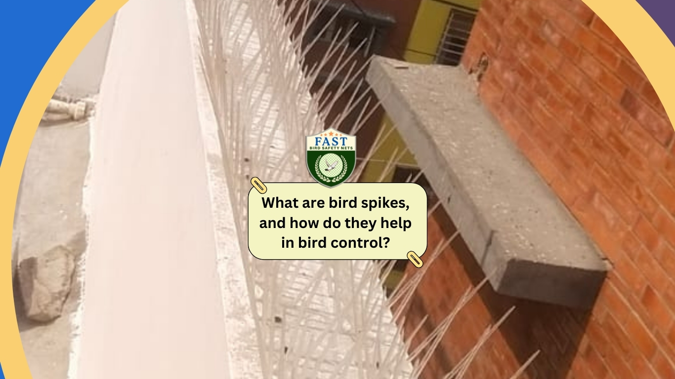 What are bird spikes and it works? - Functionality of bird spikes