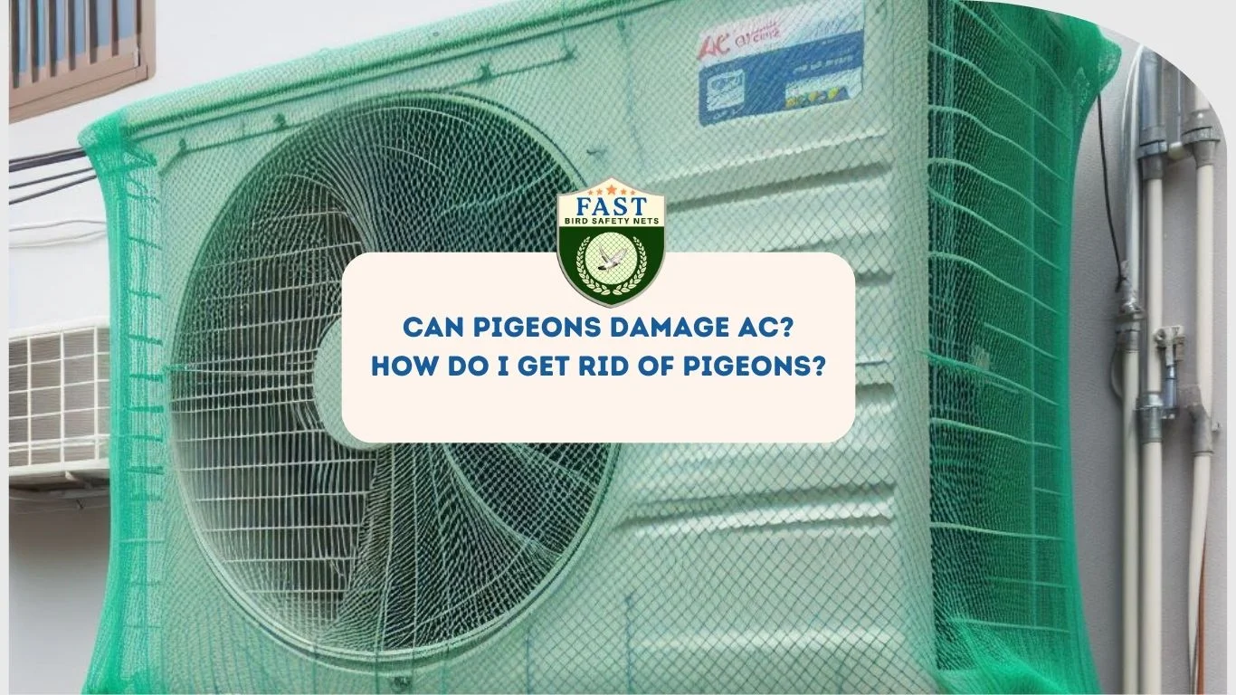 Can pigeons damage AC? How do I get rid of pigeons? - Bird Net