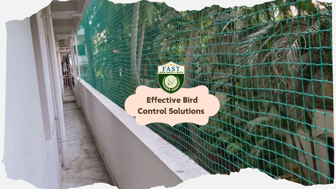 Effective Bird Control Solutions - Fast Safety Nets Hyderabad -9363632161
