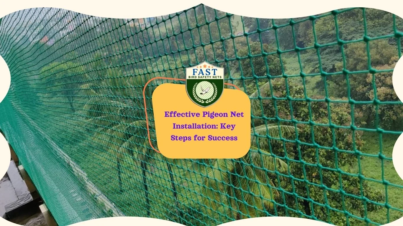 Effective Pigeon Net Installation: Key Steps for Success - Fast Safety ...