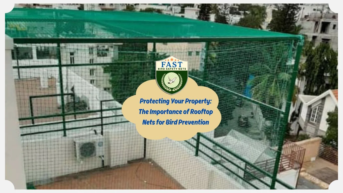 The Importance of Rooftop Nets for Bird Prevention