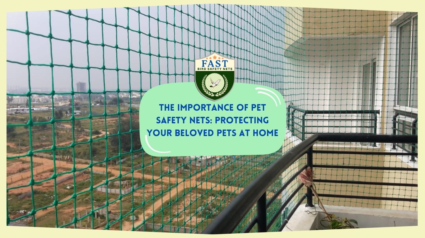 The Importance of Pet Safety Nets The Importance of Pet Safety Nets