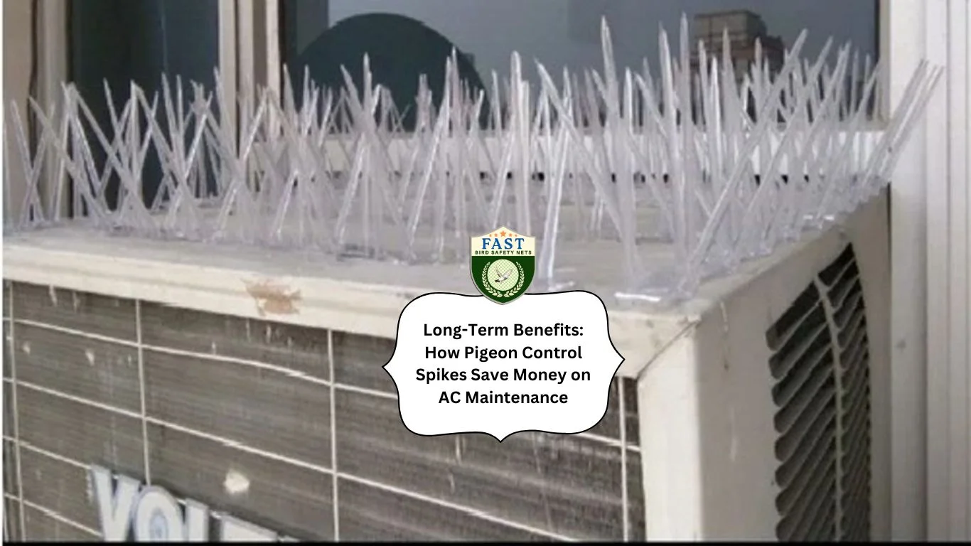 Long-Term Benefits: How Pigeon Control Spikes Save Money on AC ...