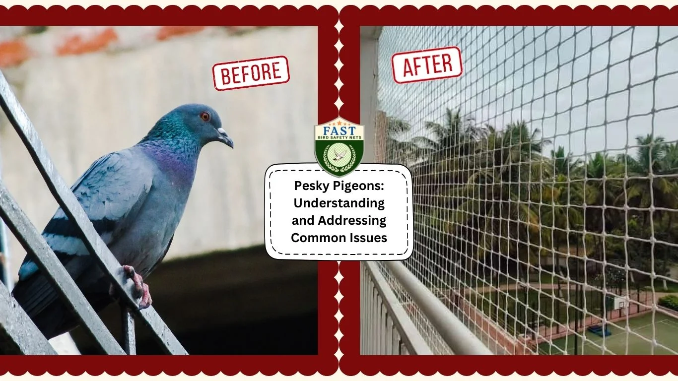 Pesky Pigeons: Understanding and Addressing Common Pigeon Issues - Fast ...
