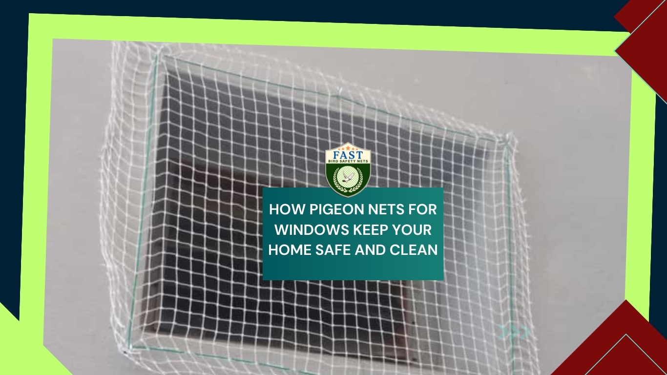 How Pigeon Nets for Windows Keep Your Home Safe and Clean? - Fast ...