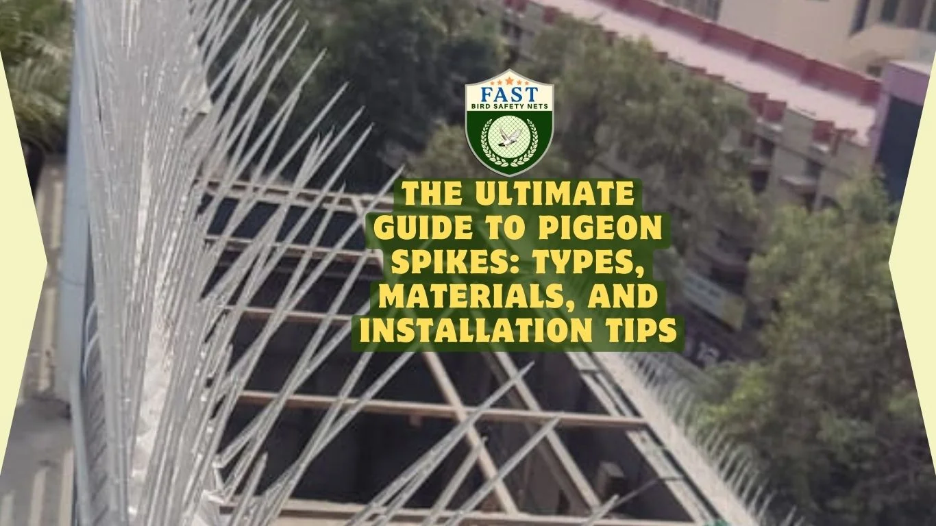 The Ultimate Guide to Pigeon Spikes: Types, Materials, and Installation ...