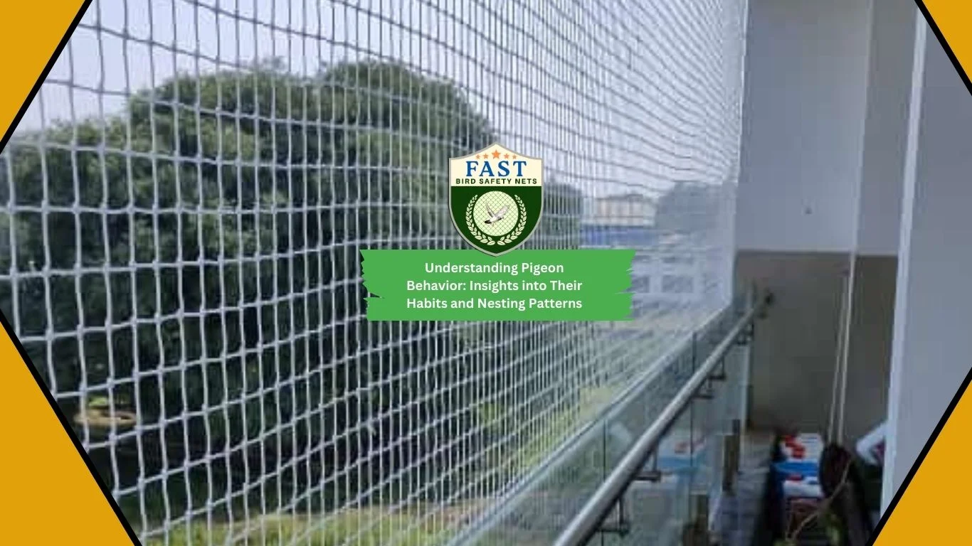 Understanding Pigeon Behavior: Insights into Their Habits