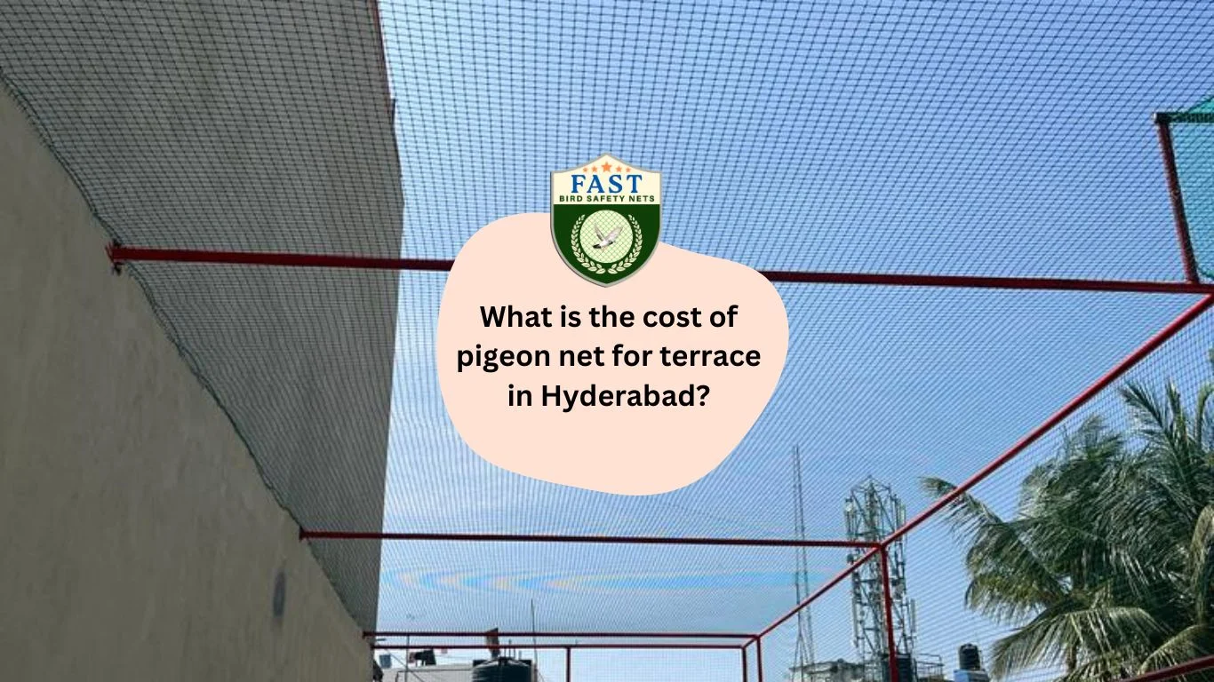 What is the cost of pigeon net for terrace in Hyderabad? - Fast Safety ...