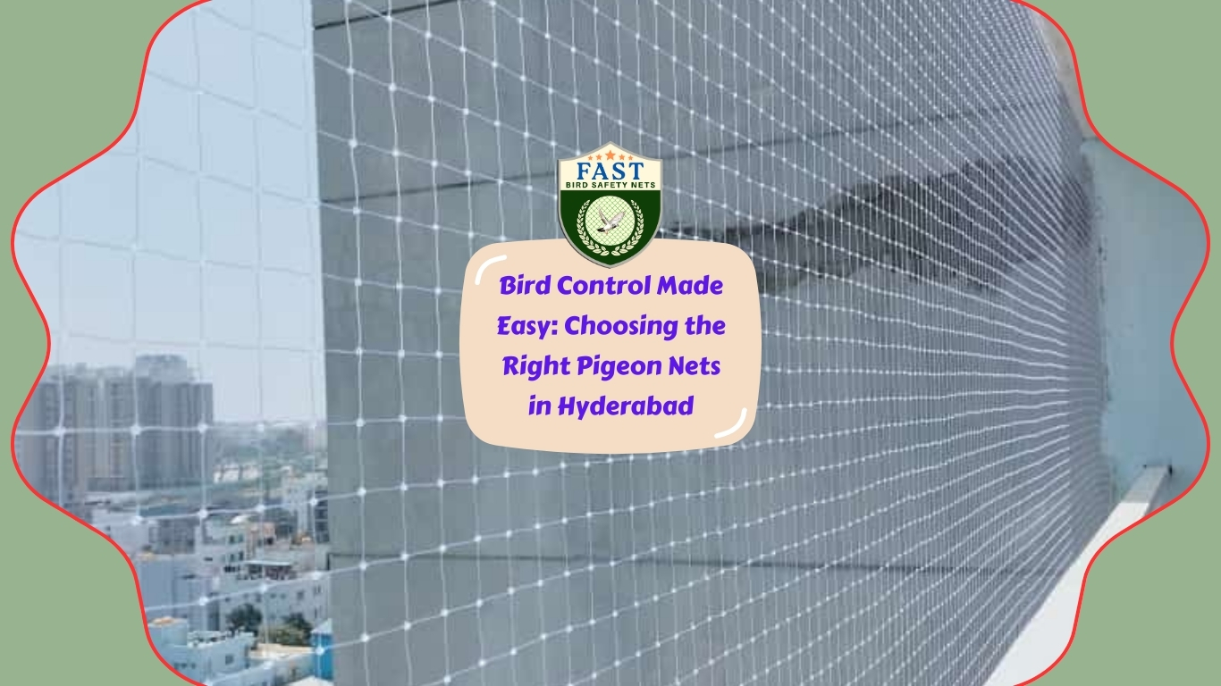 Choosing the Right Pigeon Nets in Hyderabad