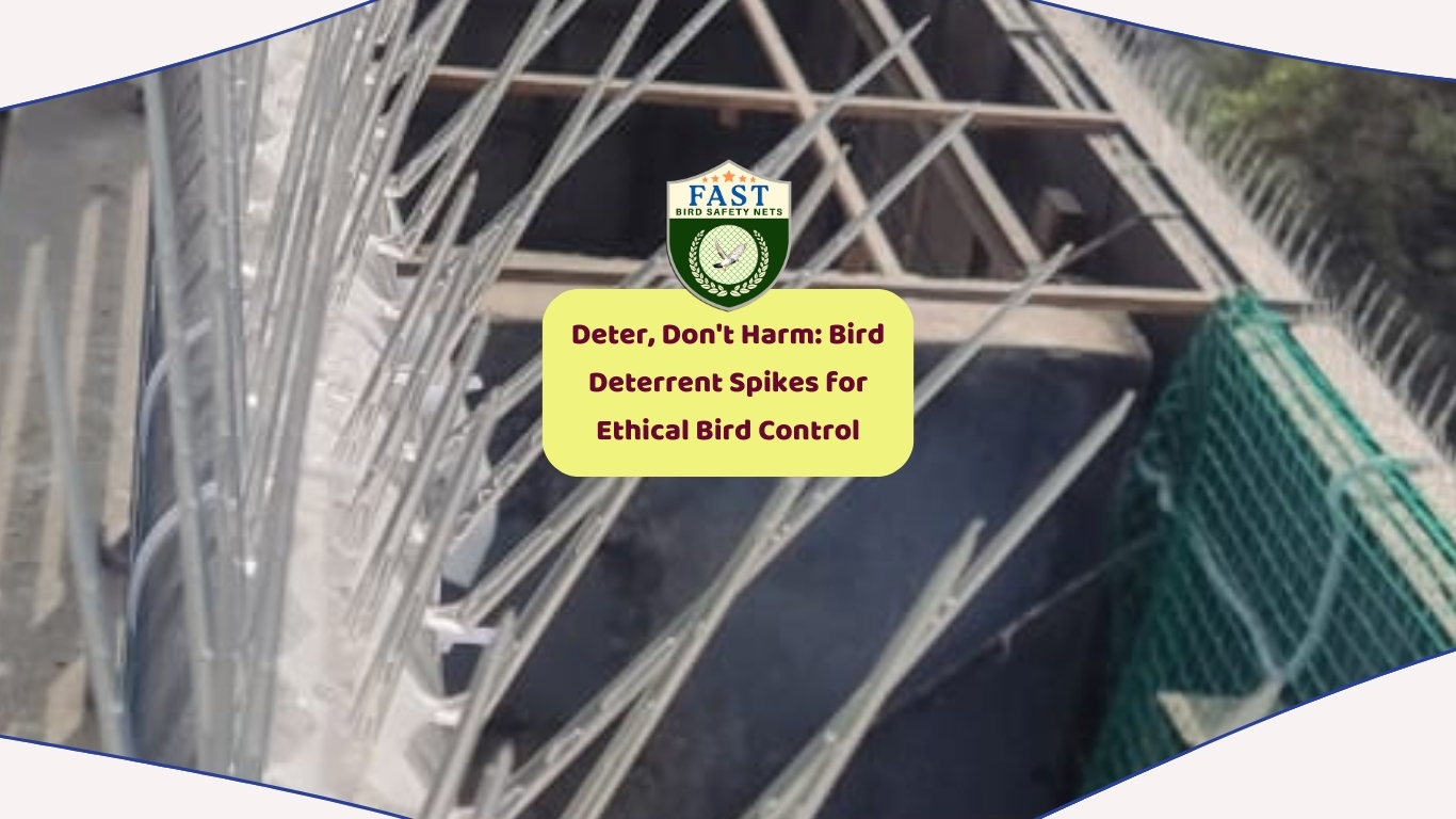 Deter, Don't Harm: Bird Deterrent Spikes for Ethical Bird Control ...