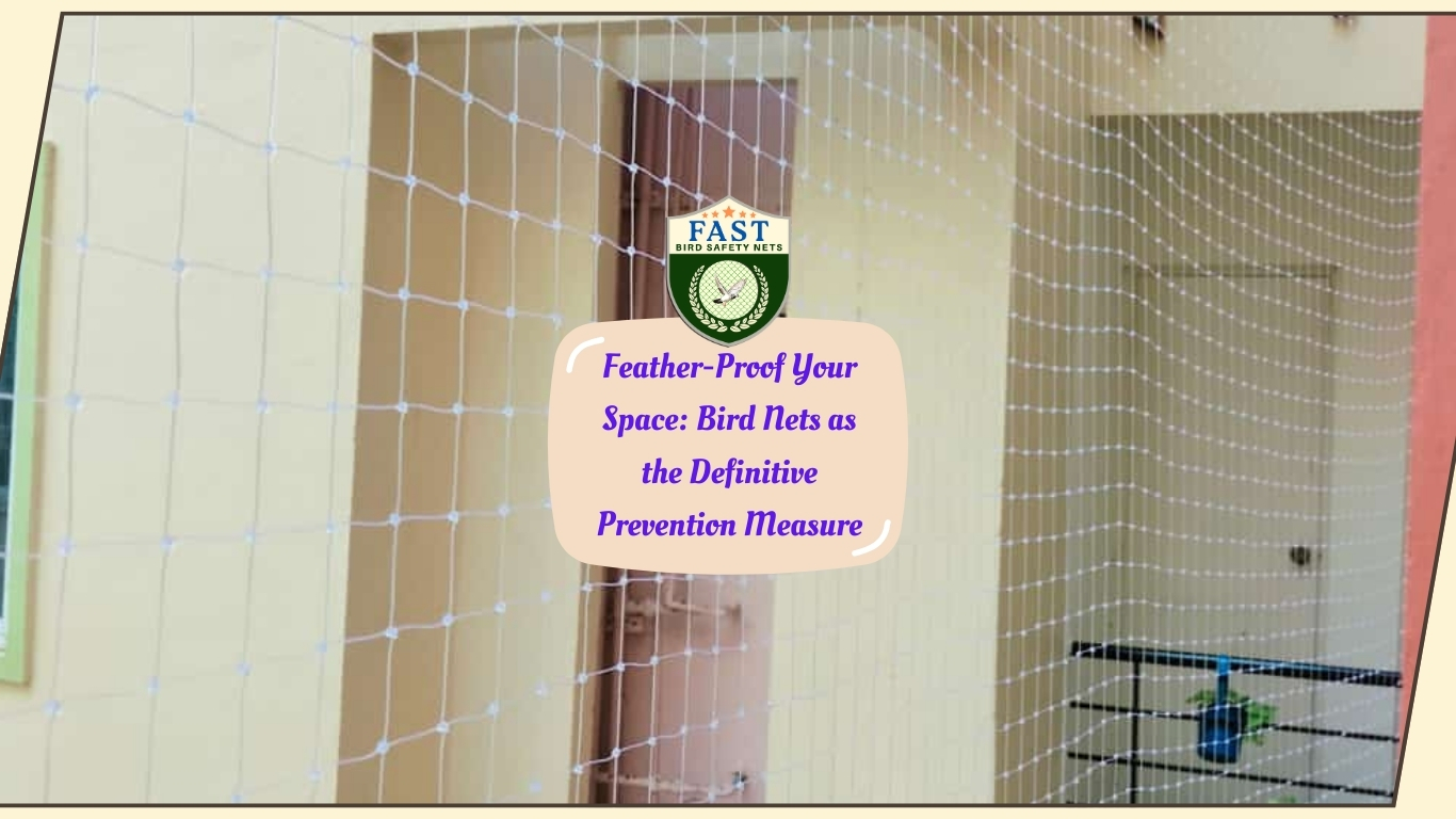 Bird Nets as the Definitive Prevention Measure
