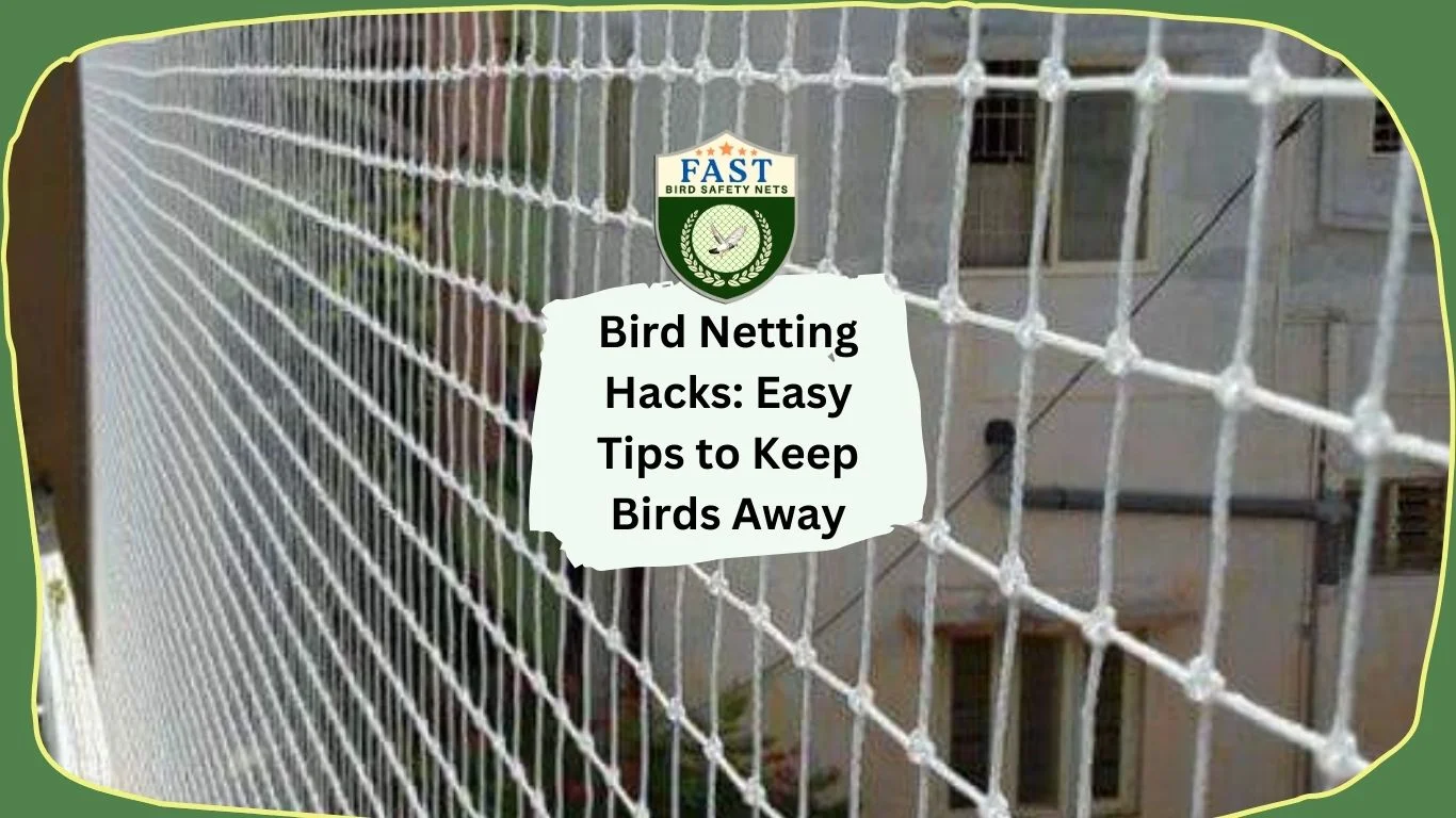 Bird Netting Hacks: Easy Tips to Keep Birds Away - Fast Safety Nets ...