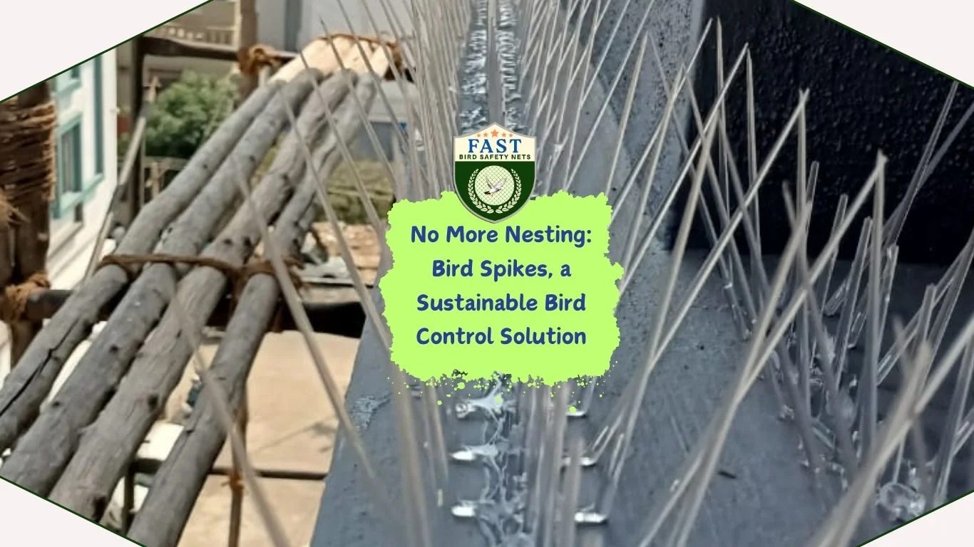 No More Nesting: Bird Deterrent Spike, a Sustainable Bird Control ...