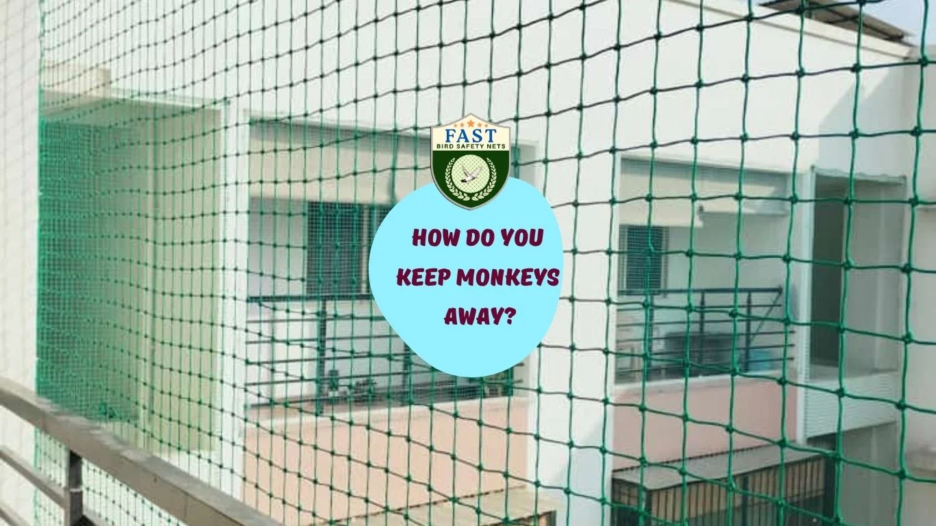 How do you keep monkeys away? - Fast Safety Nets Hyderabad -9363632161