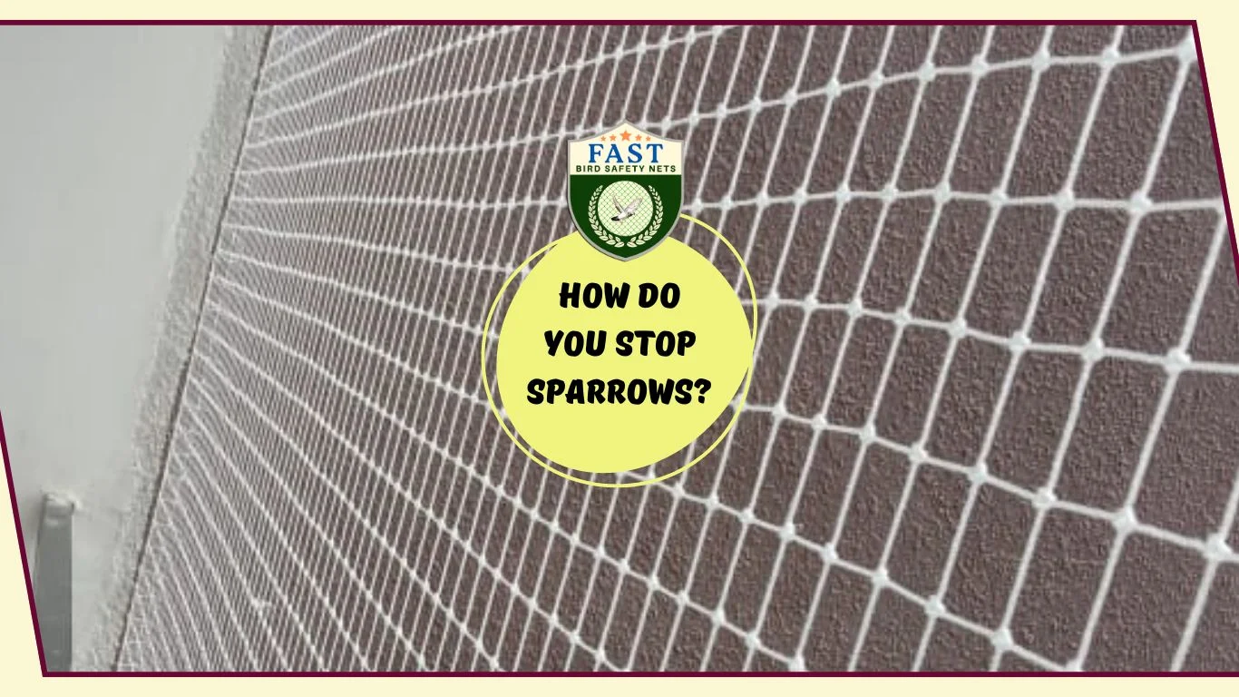 How do you stop sparrows? - Fast Safety Nets Hyderabad -9363632161