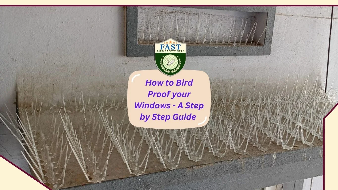 How to Bird Proof your Windows - A Step by Step Guide - Fast Safety ...