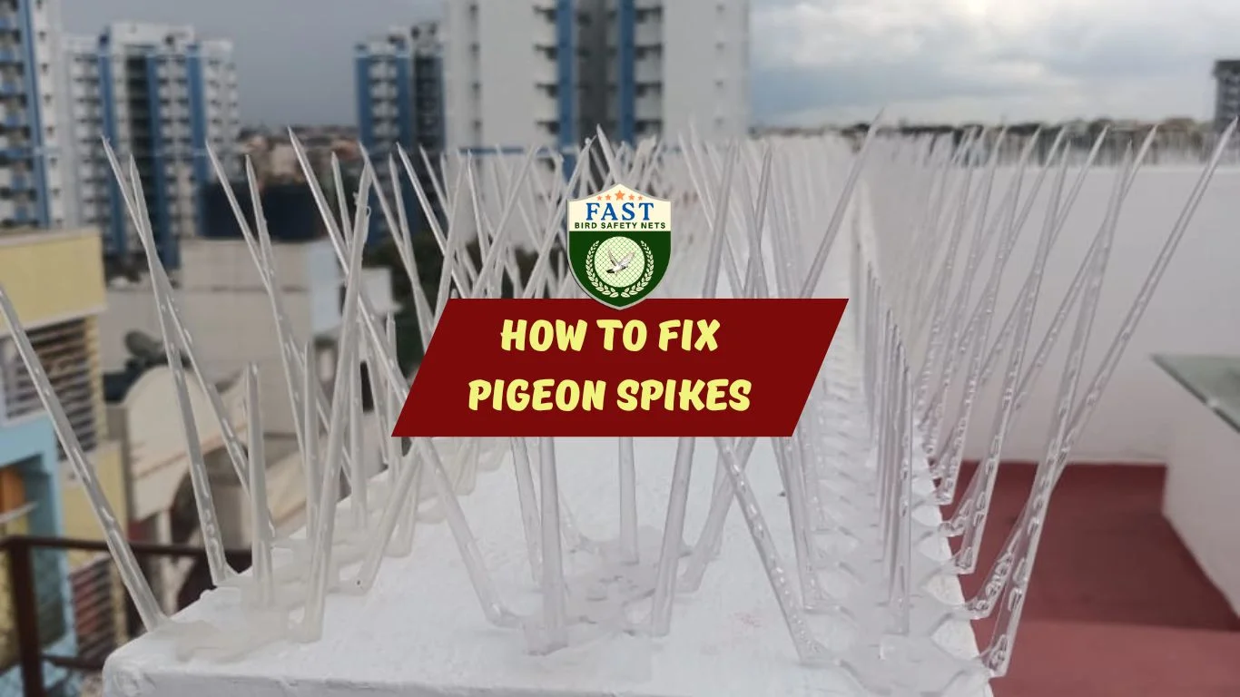 How to Fix Pigeon Spikes - Fast Safety Nets Hyderabad -9363632161