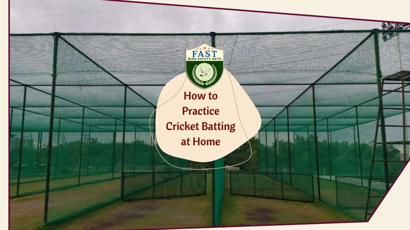 How to Practice Cricket Batting at Home - Fast Safety Nets Hyderabad ...