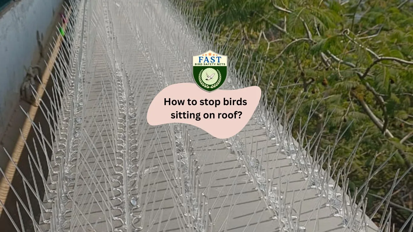 How to stop birds sitting on roof? - Fast Safety Nets Hyderabad -9363632161