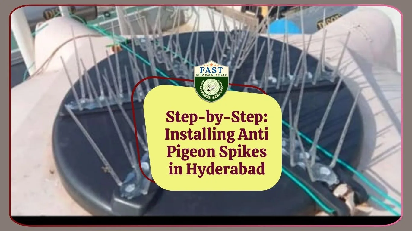 Step-by-Step Guide: Installing Anti-Pigeon Spikes in Hyderabad - Fast ...
