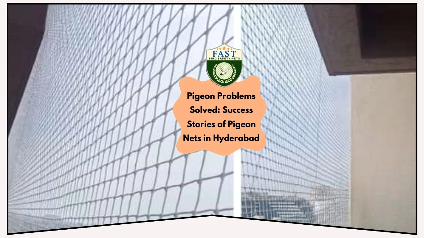 Success Stories of Pigeon Nets in Hyderabad
