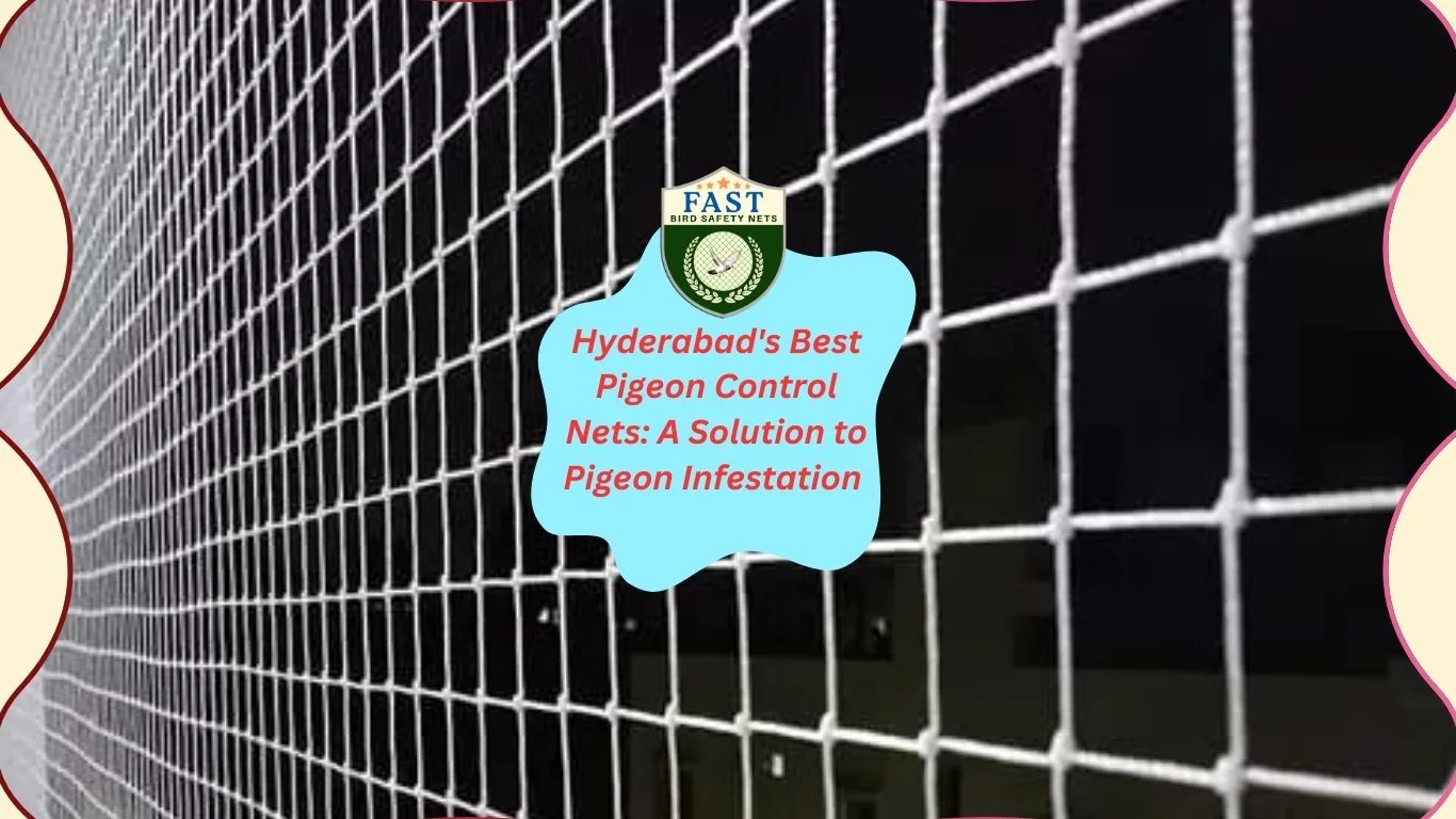 Hyderabad's Best Pigeon Control Nets: A Solution to Pigeon Infestation ...