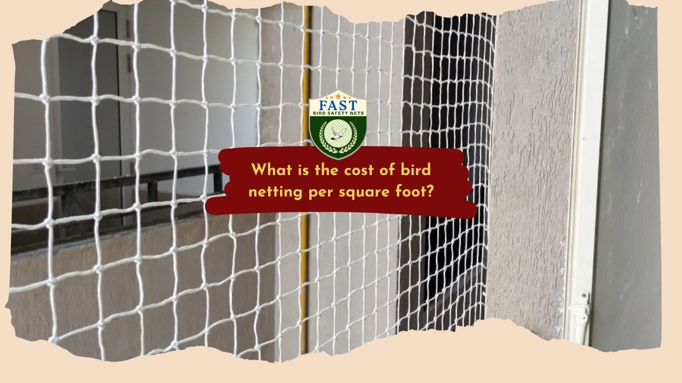 What is the cost of bird netting per square foot? - Fast Safety Nets ...