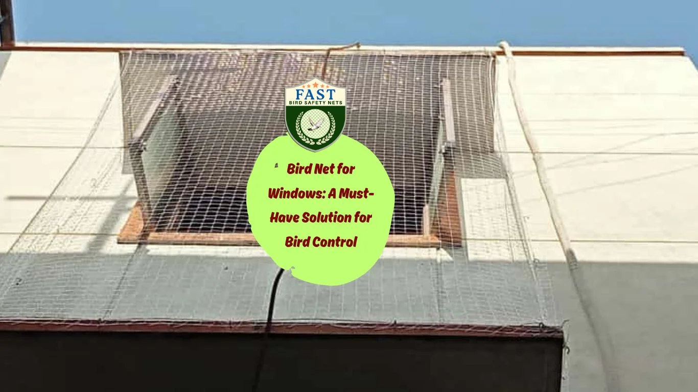 Bird Net for Windows: A Must-Have Solution for Bird Control - Fast ...
