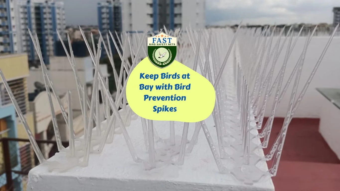 Keep Birds at Bay with Bird Prevention Spikes - Fast Safety Nets ...