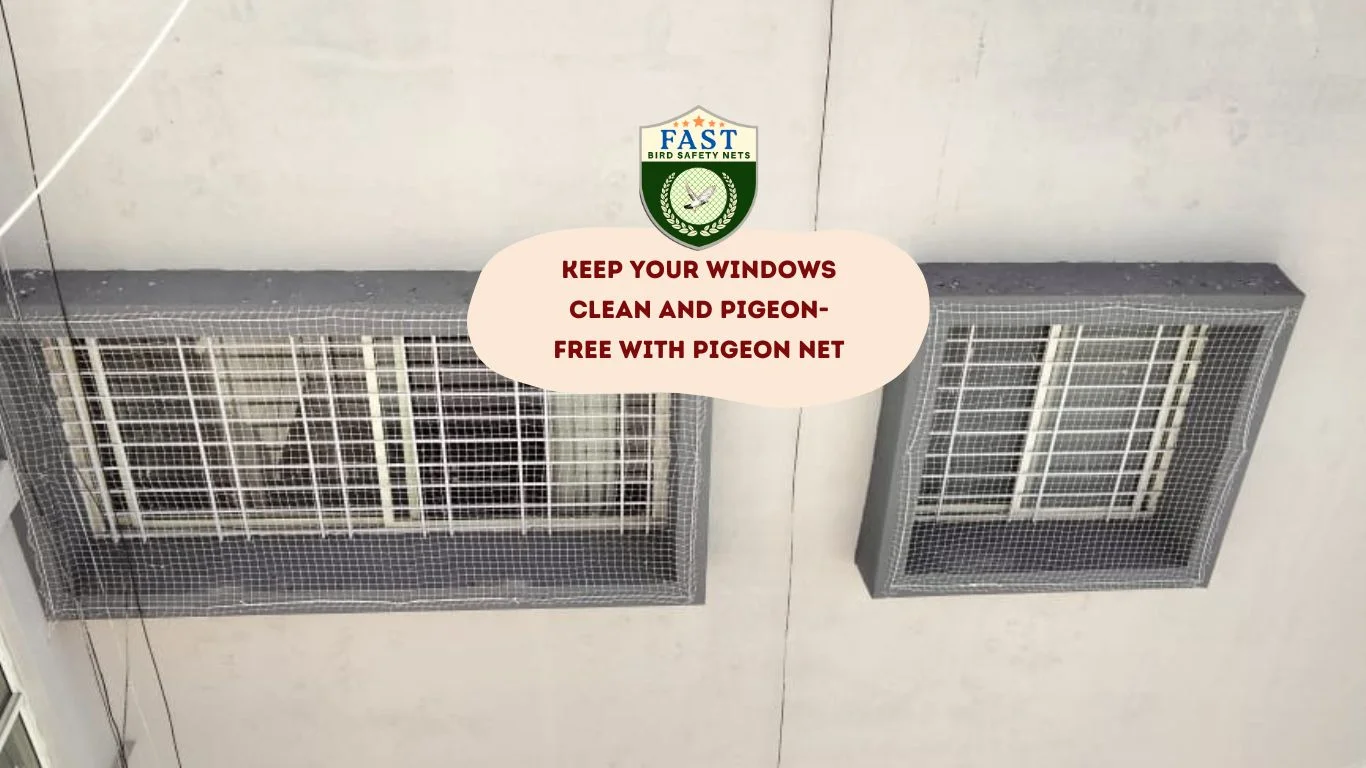 Keep Your Windows Clean and Pigeon-Free with Pigeon Net - Fast Safety ...