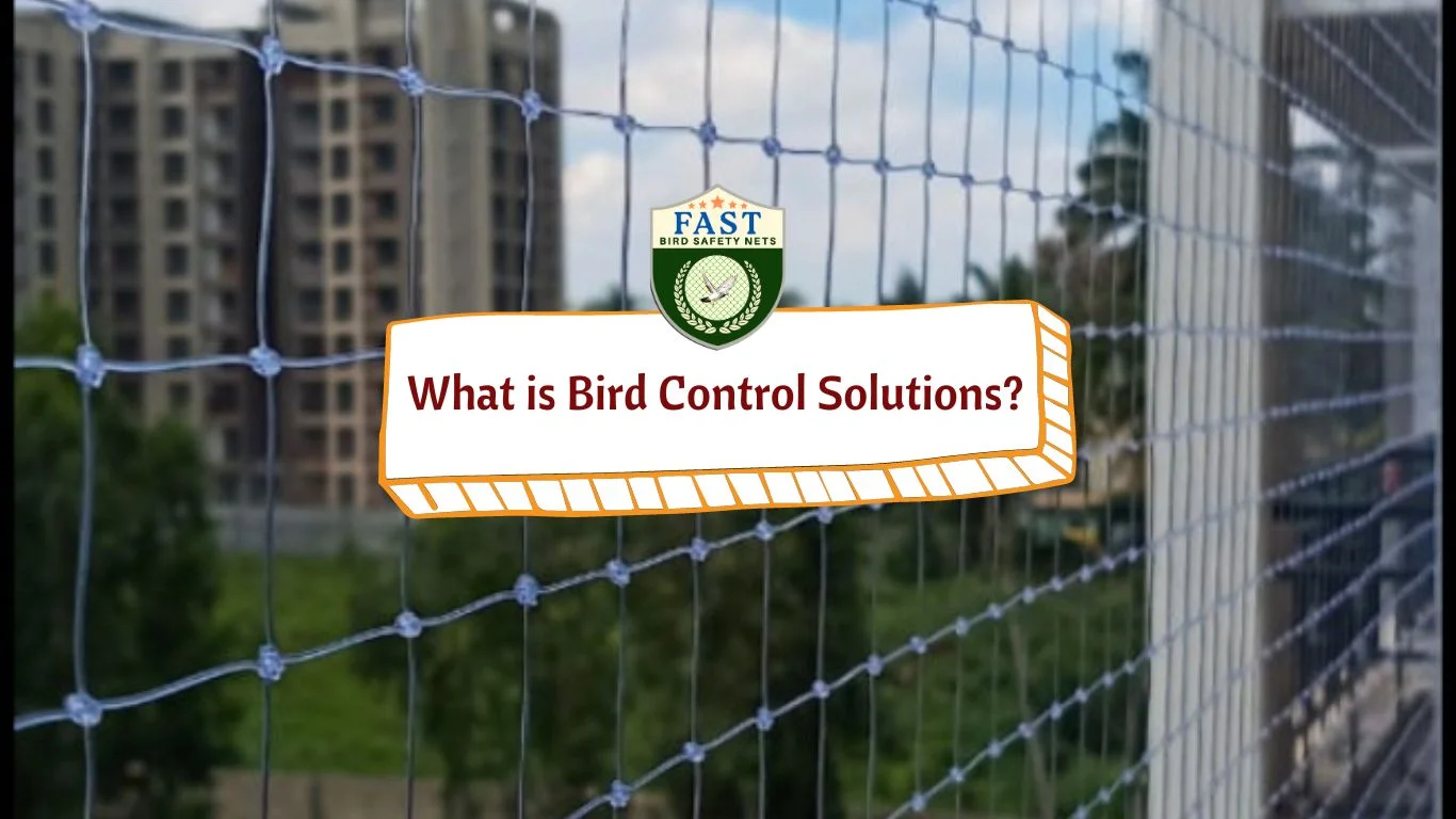 What is Bird Control Solutions? - Fast Safety Nets Hyderabad -9363632161