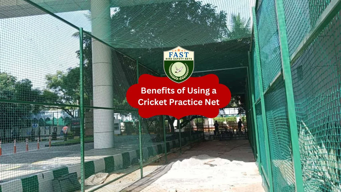 Benefits of Using a Cricket Practice Net - Fast Safety Nets Hyderabad ...