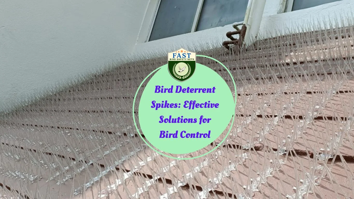 Bird Deterrent Spikes: Effective Solutions for Bird Control - Fast ...