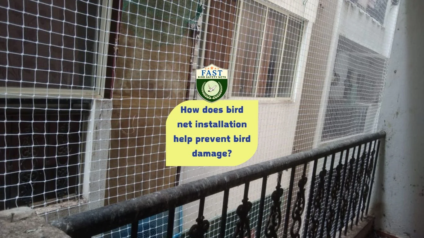How does bird net installation help prevent bird damage? - Fast Safety ...