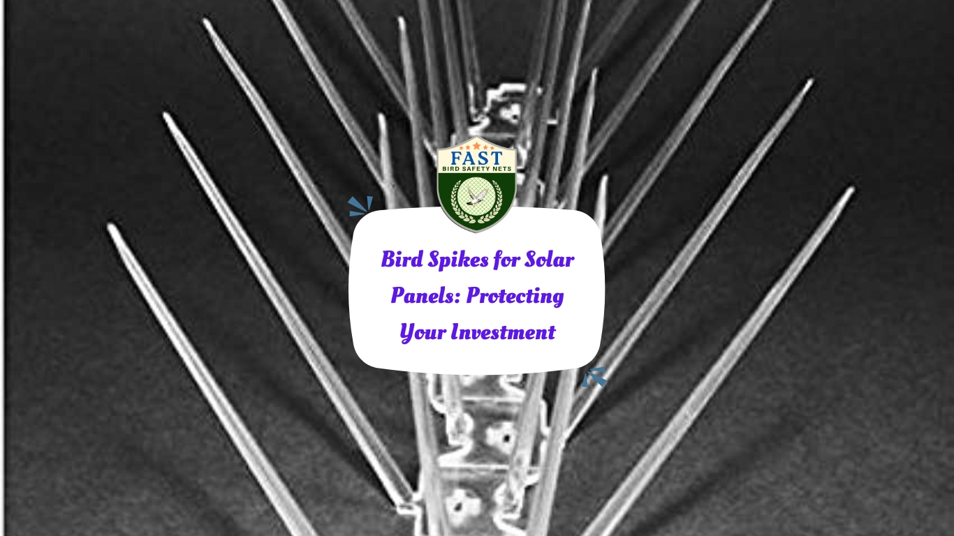 Bird Spikes for Solar Panels: Protecting Your Investment - Fast Safety ...