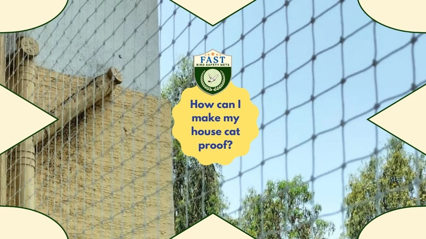 How can I make my house cat proof? - Fast Safety Nets Hyderabad -9363632161