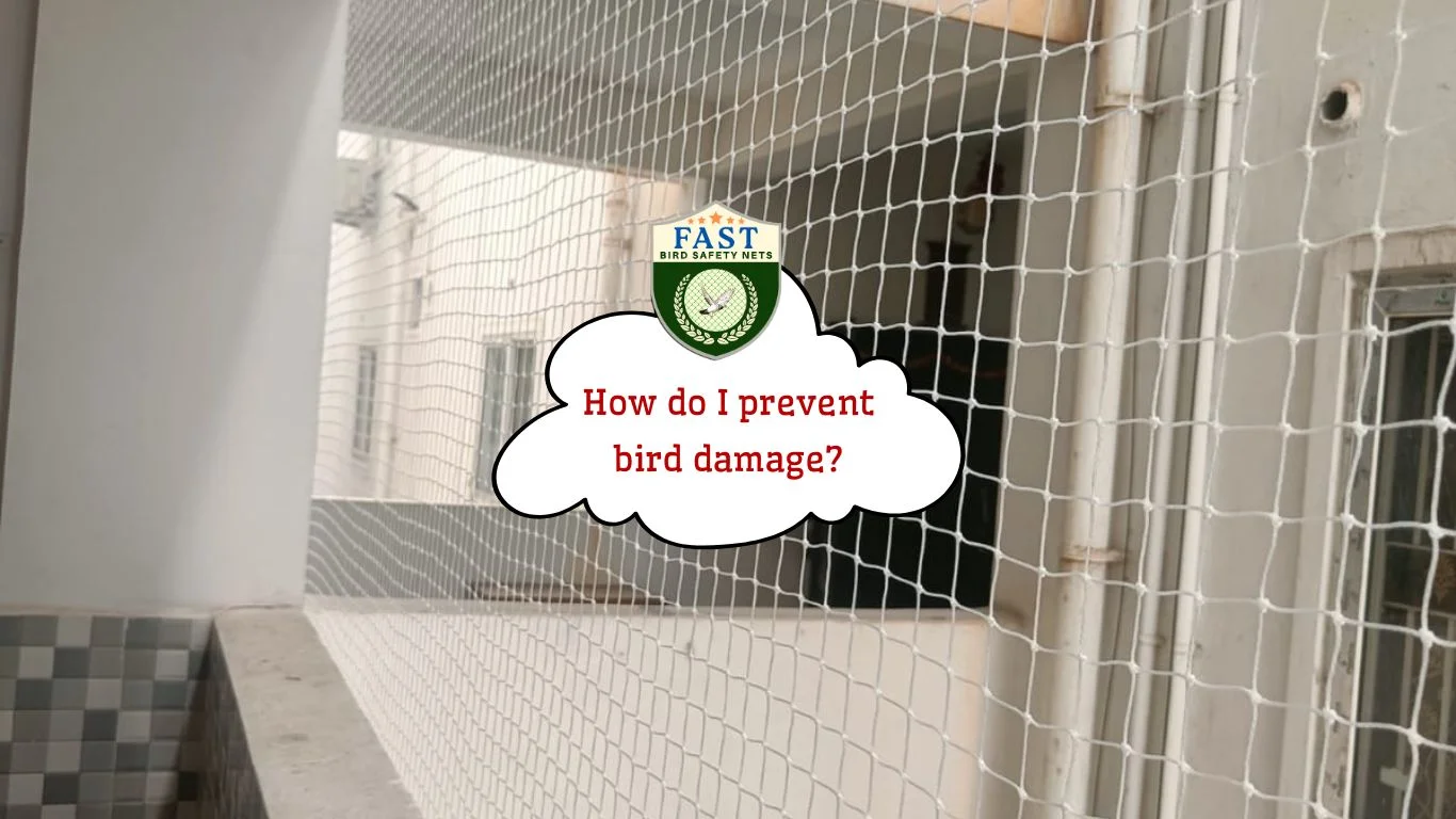 How do I prevent bird damage? - Fast Safety Nets Hyderabad -9363632161